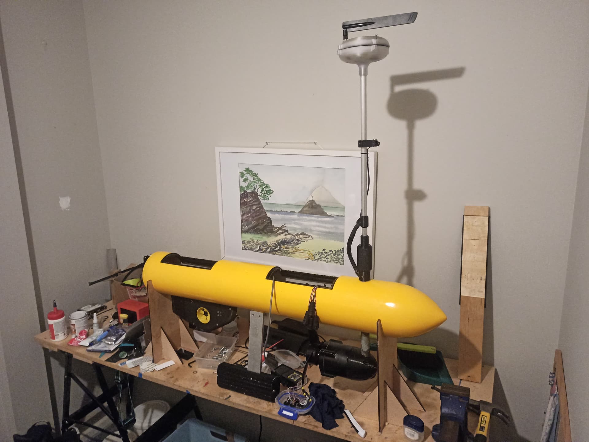 Autonomous Fishing Boat with custom Rudder and Integrated Thruster ...